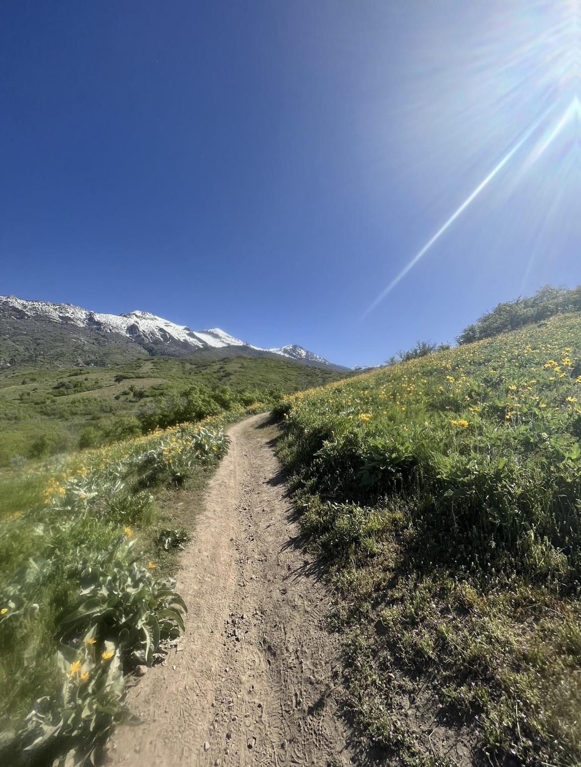 Family-Friendly Hiking Trails in Utah – Life, as of Late