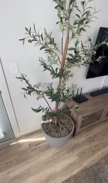 How to Style Faux Olive Trees for Organic Modern Decor – Life, as of Late